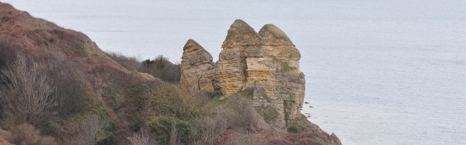 Accueil - Longues sur mer
